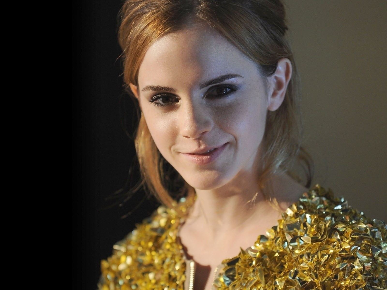 Emma Watson looking at viewer actress celebrity wallpapersbin