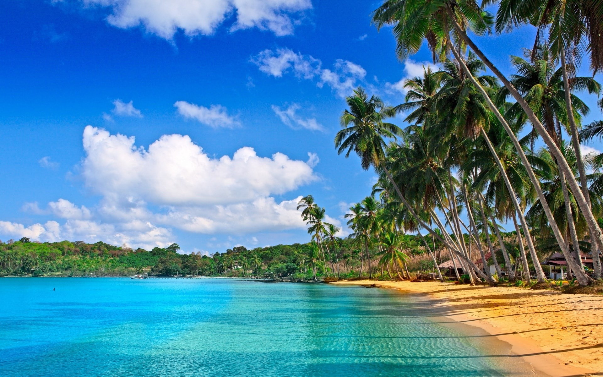 beach images for backgrounds desktop tropical climate water 2k ...