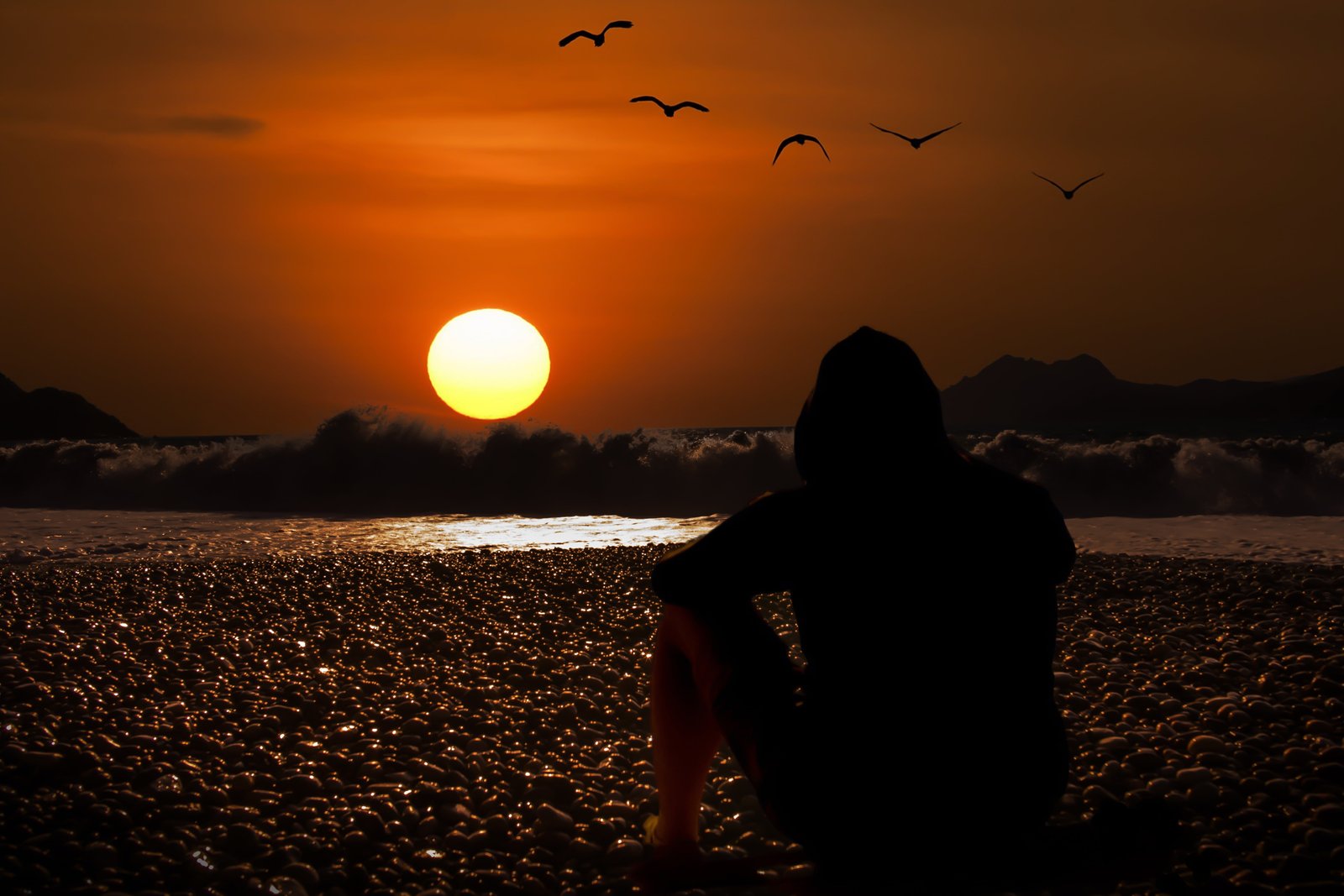sunset photo evening sky beach background desktop 2k 4k 5k wallpapersbin