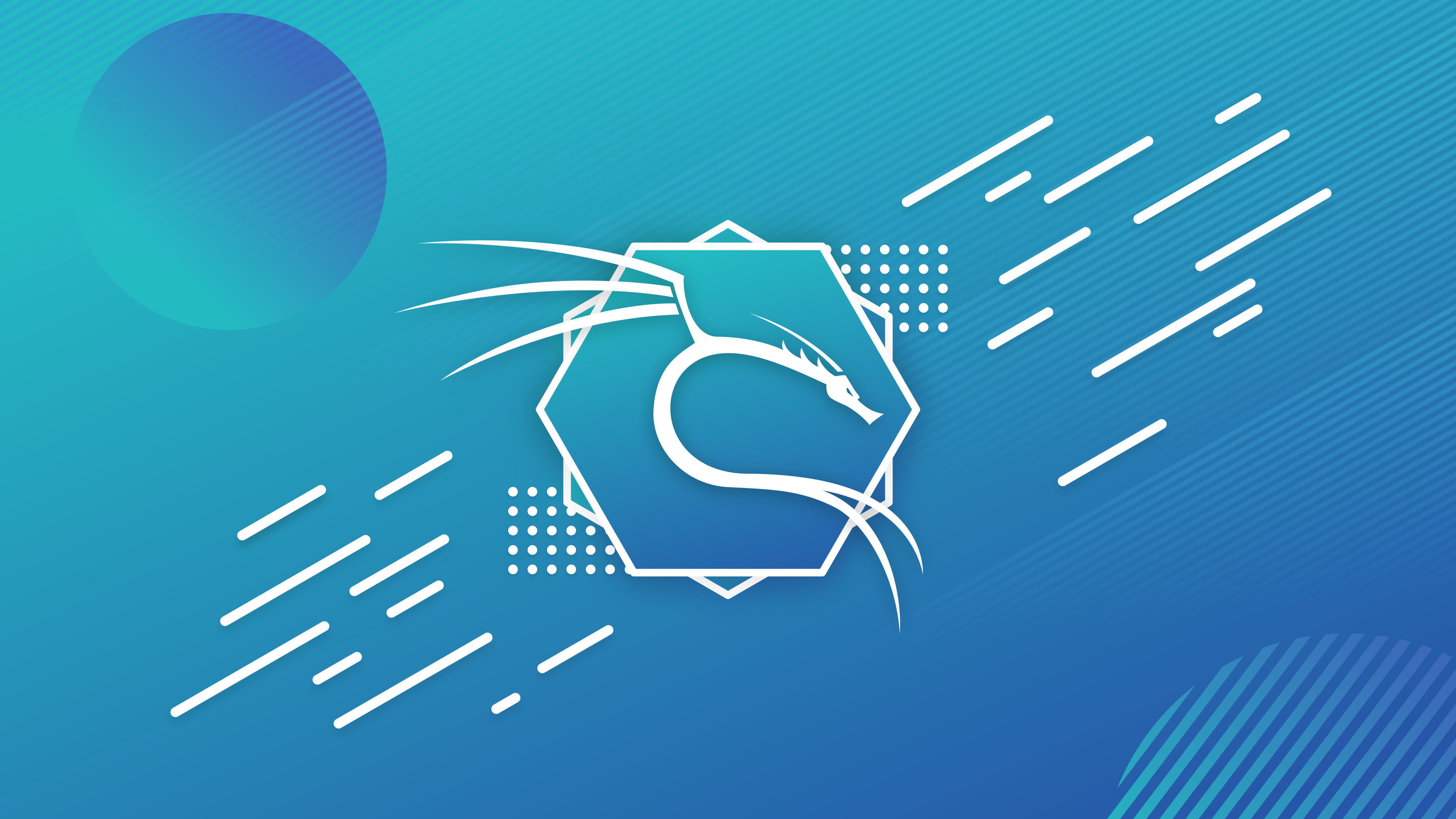 Kali Linux Backtrack blue background 2k 4k wallpapersbin